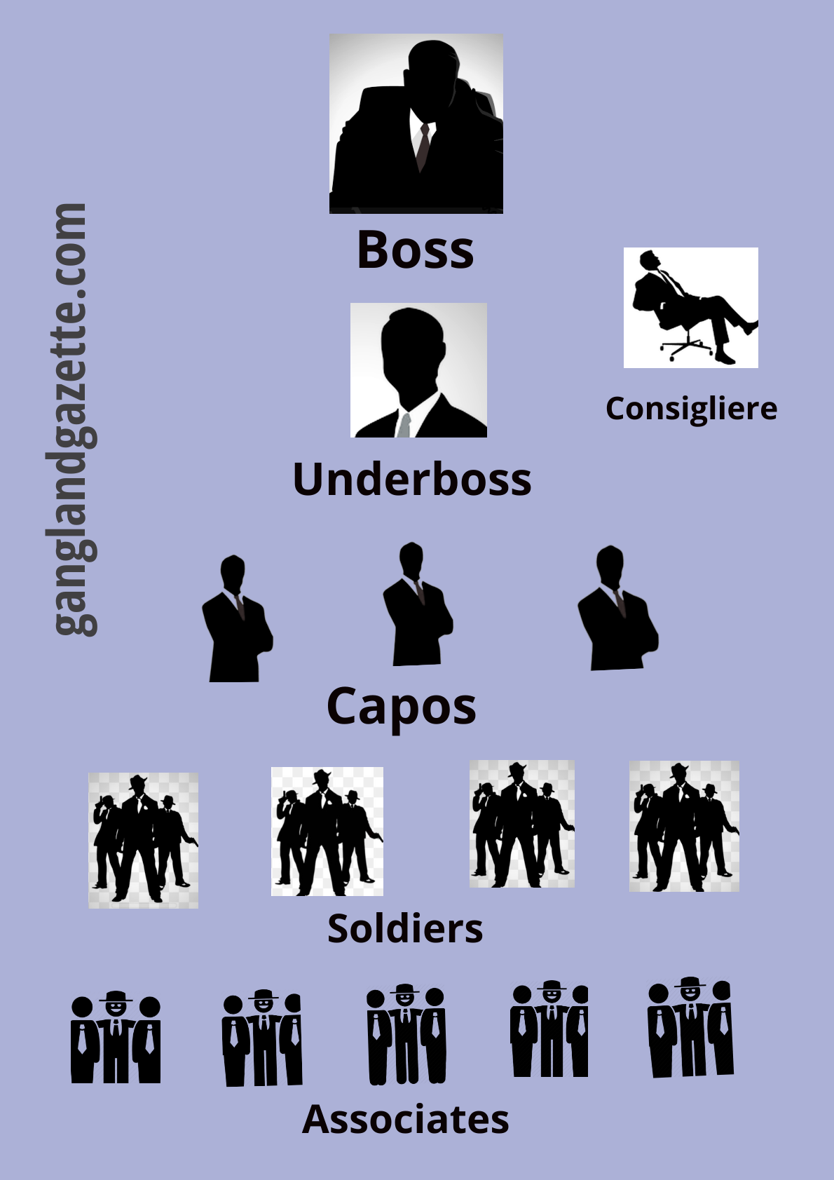 Mafia Hierarchy Ranks And Positions Gangland Gazette